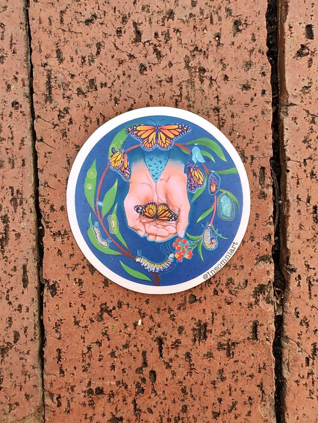 Cycle of a Monarch Sticker - Etsy