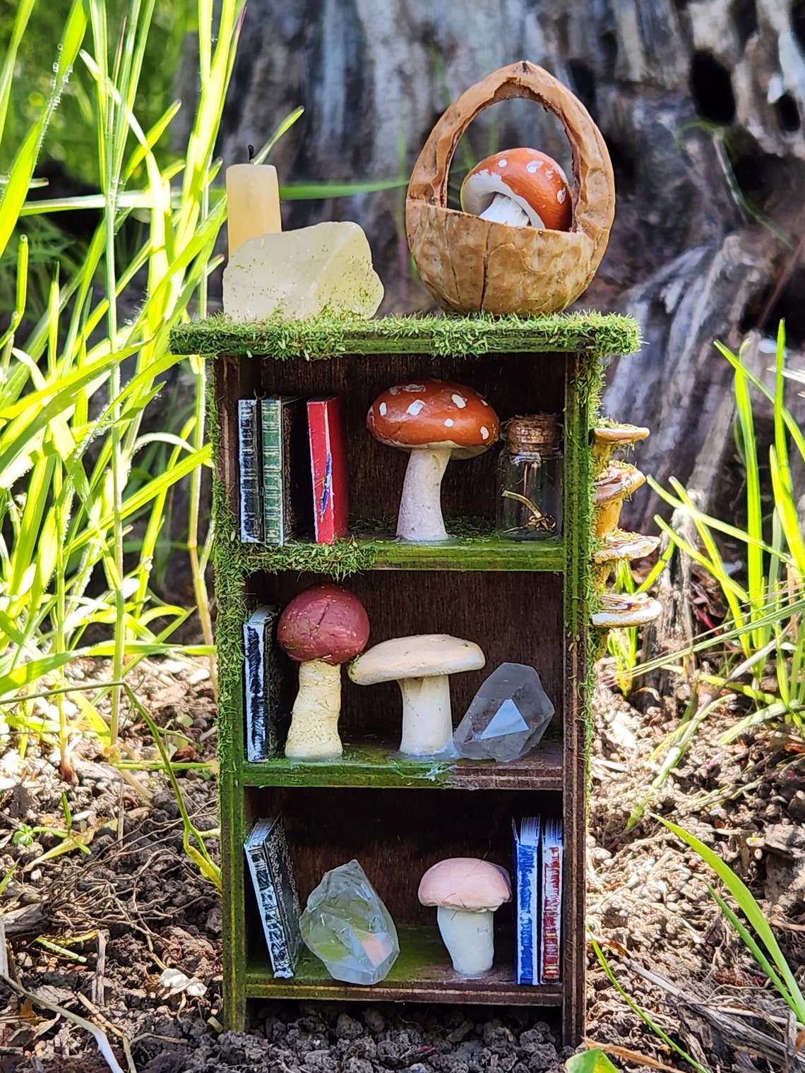 Woodland Crystal Fairy Bookcase Miniature Mushroom Dollhouse - Etsy