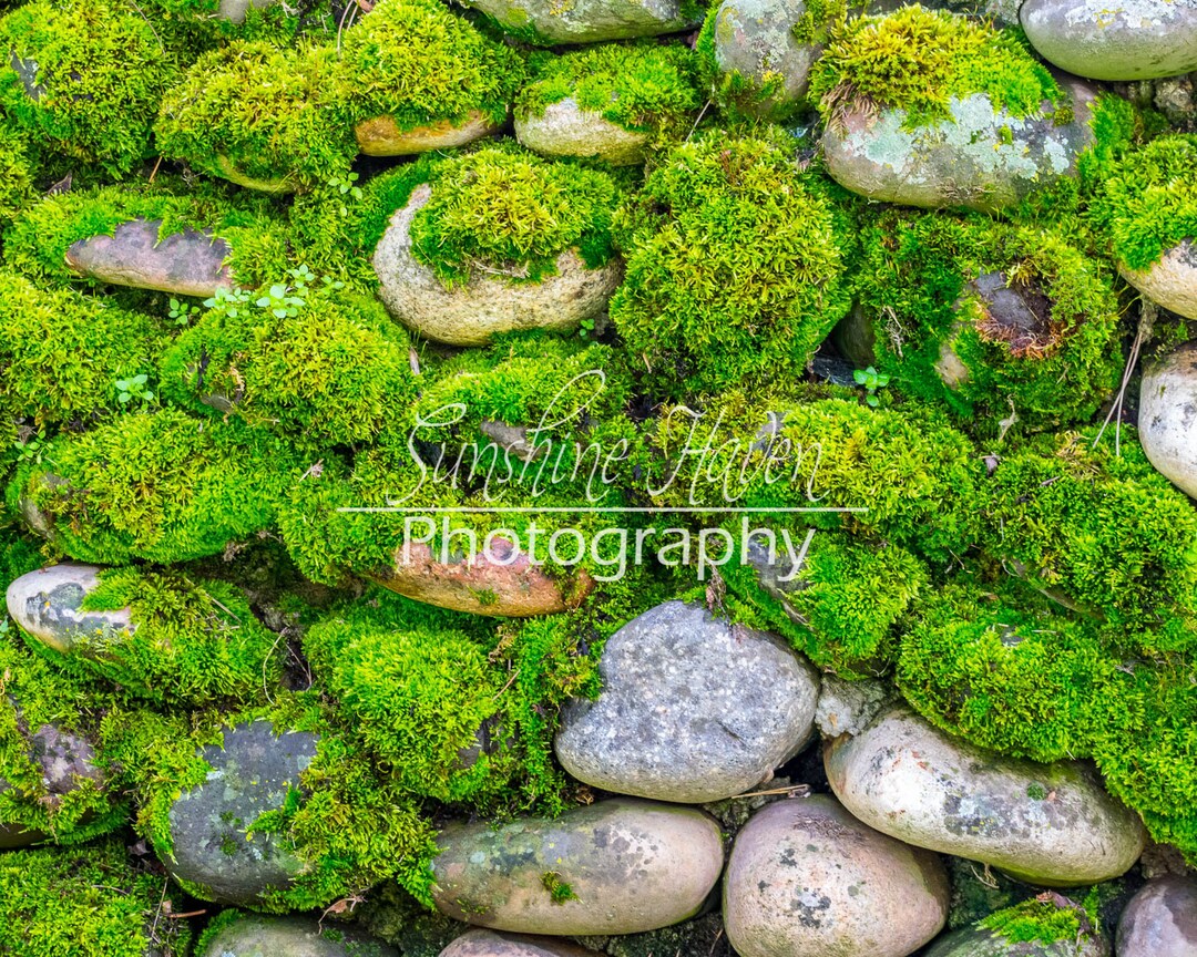 Mossy Rocks Background Photography Nature Photography Instant Download ...