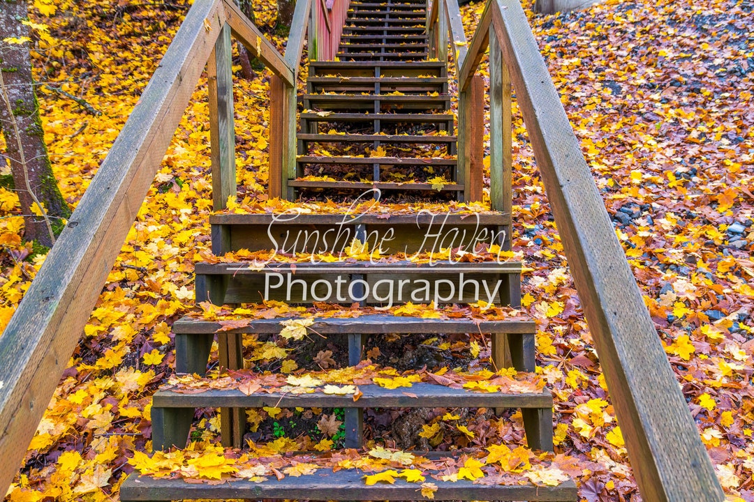 Fall Leaves on Staircase Autumn Colors Fall Photography - Etsy
