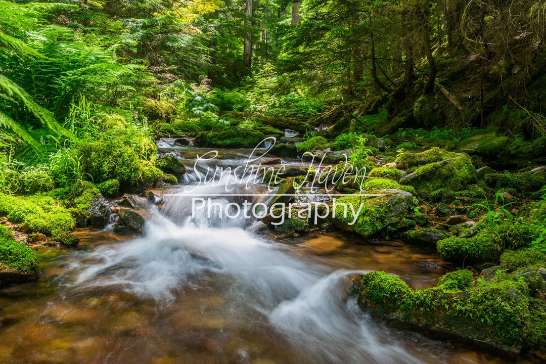 Beautiful Creek in the Forest Print Digital Download Printable Wall Art ...