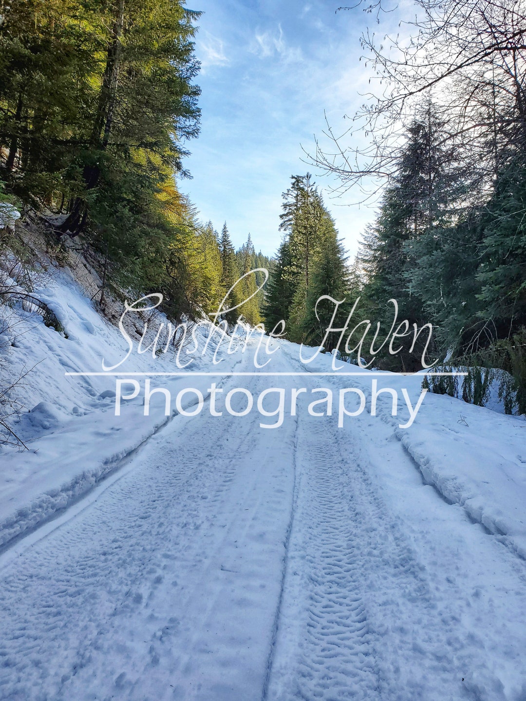 Winter Forest Iced Road Print Digital Download Printable Wall Art Home ...
