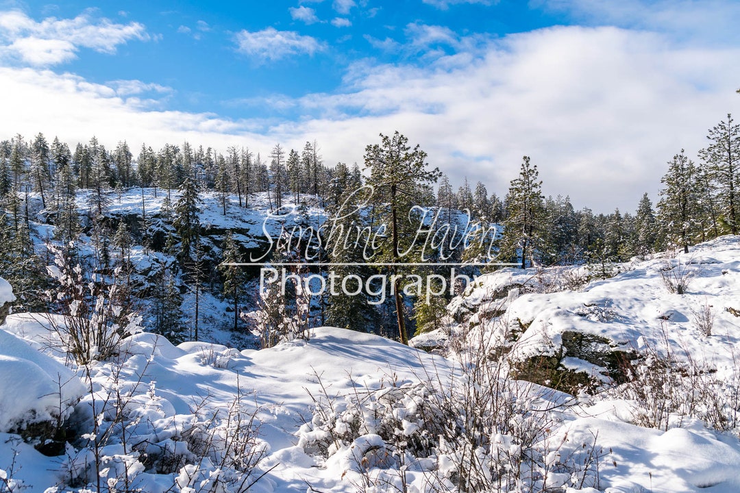 Snow Winter Forest Scene Print Digital Download Printable Wall Art Home ...