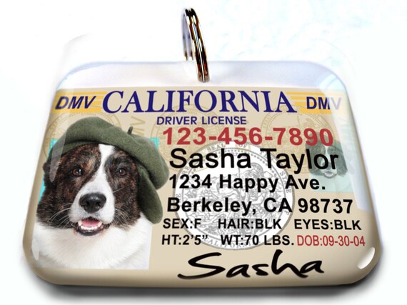 Do Dogs Need A License In California