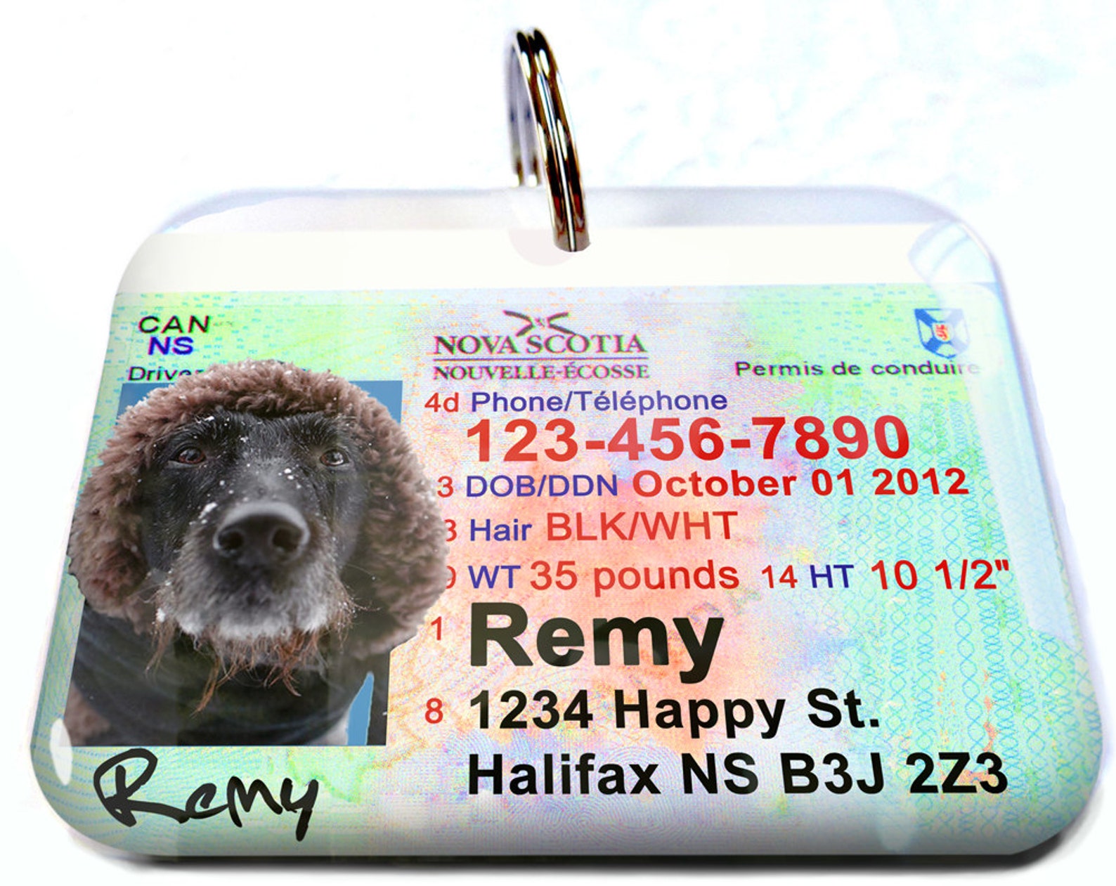 Canada Driver License Nova Scotia Personalized Custom ID Tags Etsy canada-driver-license-nova-scotia-personalized-custom-id-tags-etsy