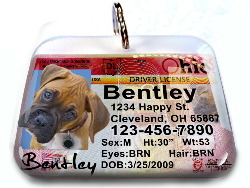 How Do I License My Dog In Ohio