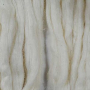 Cotton Roving, Organic Upland - 8 Ounces US Grown Texas Cotton - Etsy