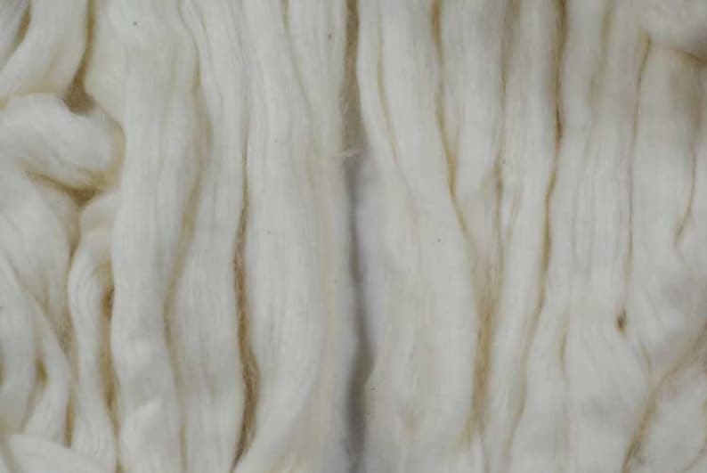 Cotton Roving Organic Upland 8 Ounces US Grown Texas Cotton | Etsy