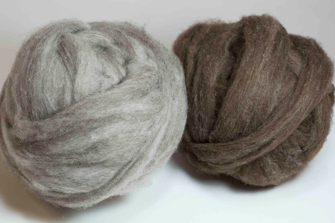 8 Oz Corriedale Wool Roving, 2 Shades of Natural Color - Etsy
