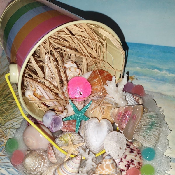 Seashell Centerpiece - Etsy