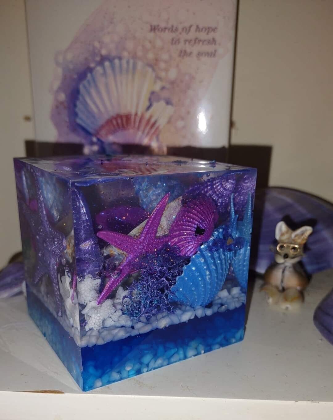 Seashell Paperweight Cube, Ocean Life Beach Decor, Coastal Shelf Decor ...