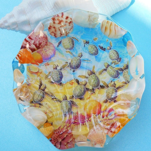 Seashell Turtle - Etsy