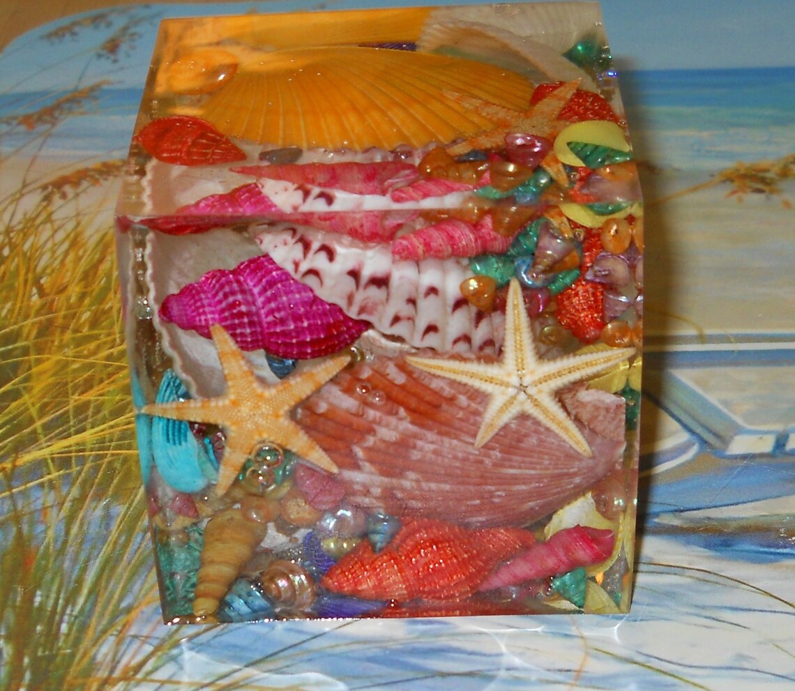 Seashell Paperweight Cube Ocean Life Beach Decor Coastal | Etsy