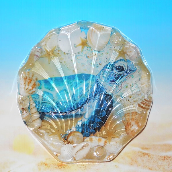 Seashell Turtle - Etsy