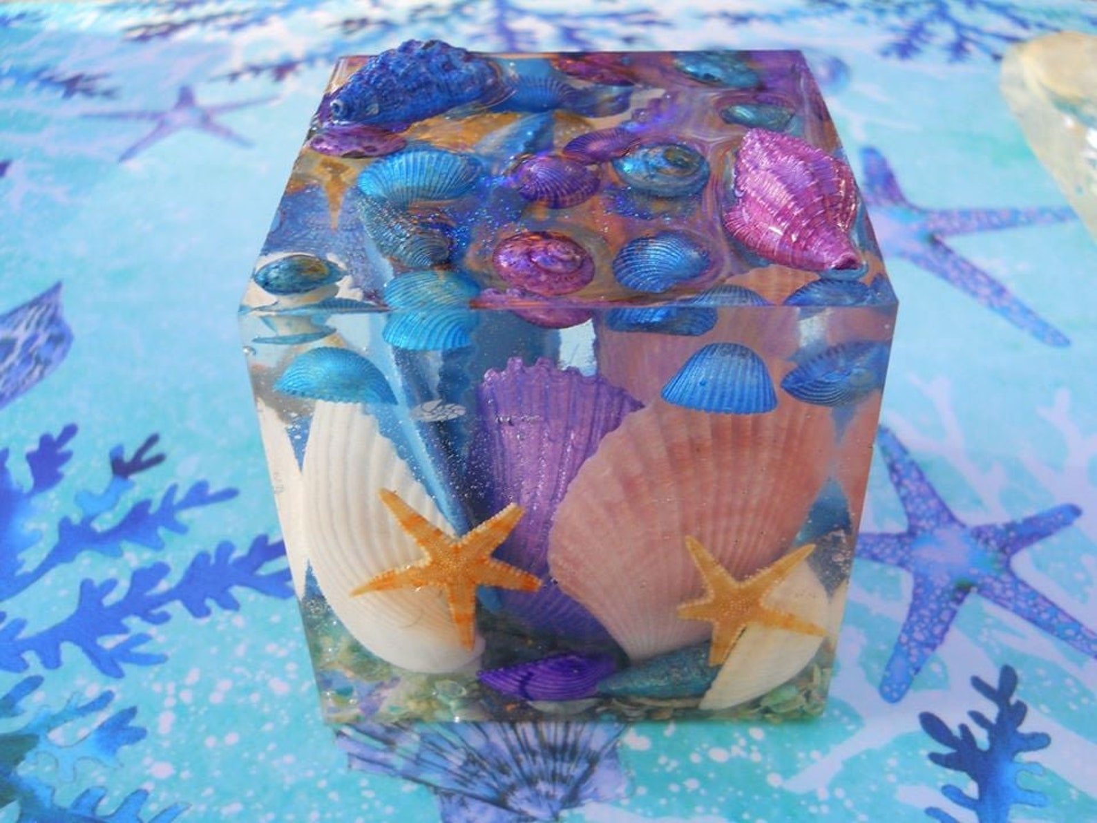 Seashell Paperweight Cube Ocean Life Beach Decor Coastal - Etsy