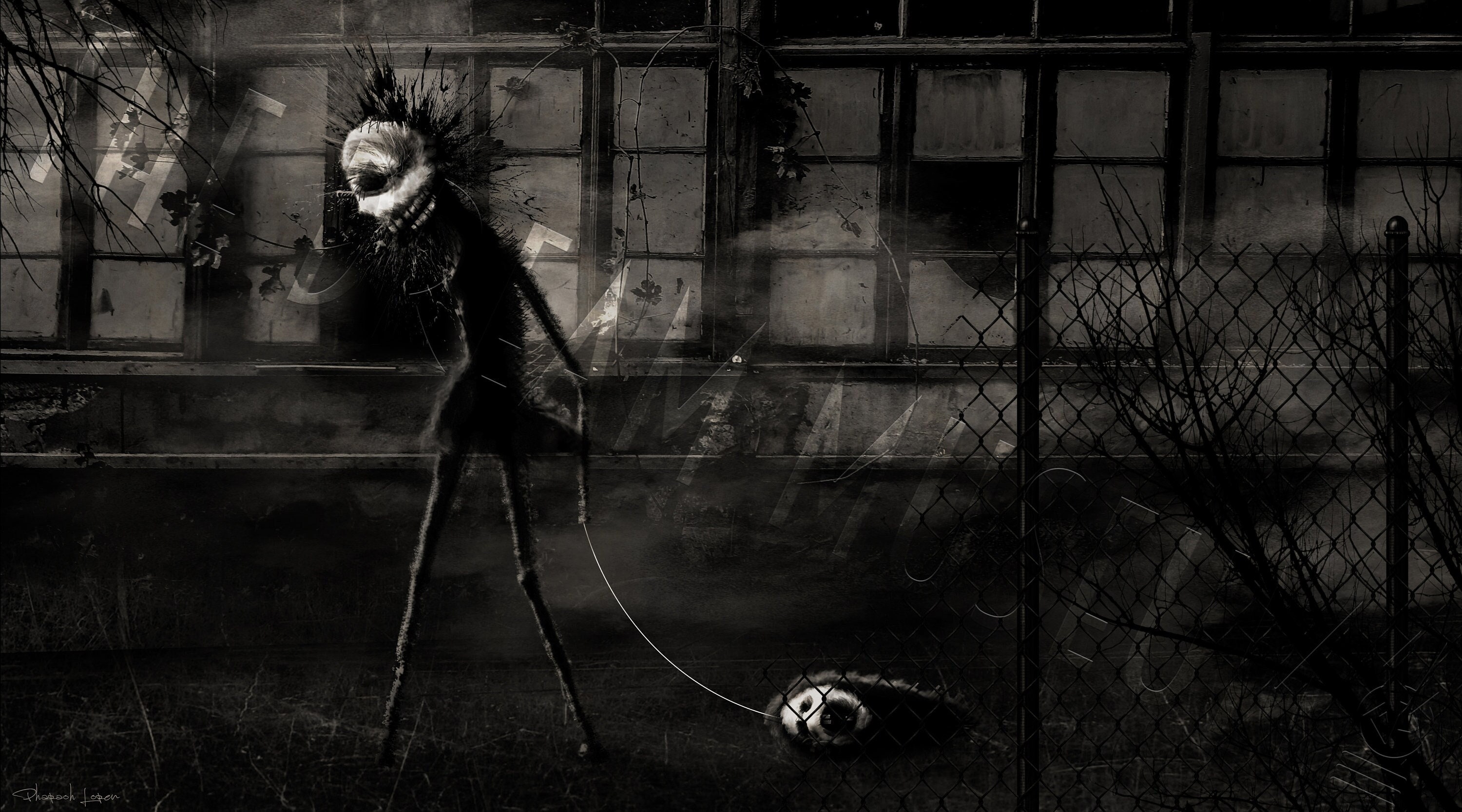 Horror And Macabre Photography