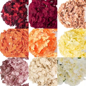 Large Hydrangea Swag; Lamb’s Ear, Eucalyptus & Pampas Swag, Hydrangea ...
