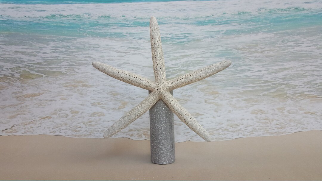 Starfish Tree Topper - Rustic Coastal Nautical Beach Christmas - Etsy