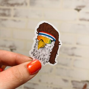 American Eagle, Eagle With Mullet, America, American, Patriotic ...