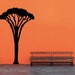Acacia Tree Wall Decal - African Tree - Africa Tree - Acacia Decal ...
