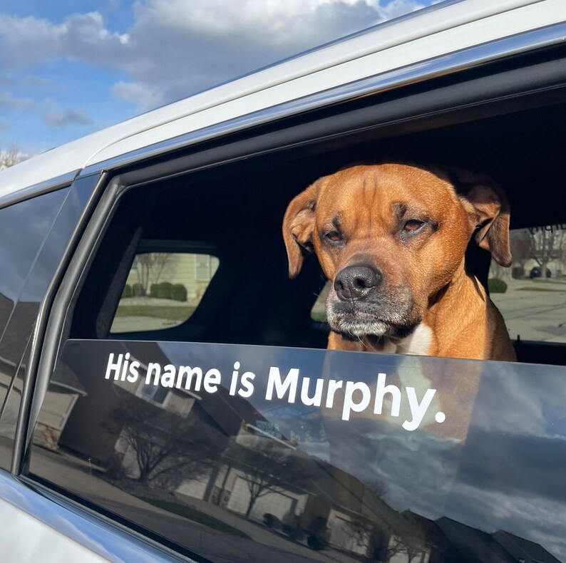 Dog Decal for Window - Custom Dog Decal - Cute Dog Ideas - Dog Name ...