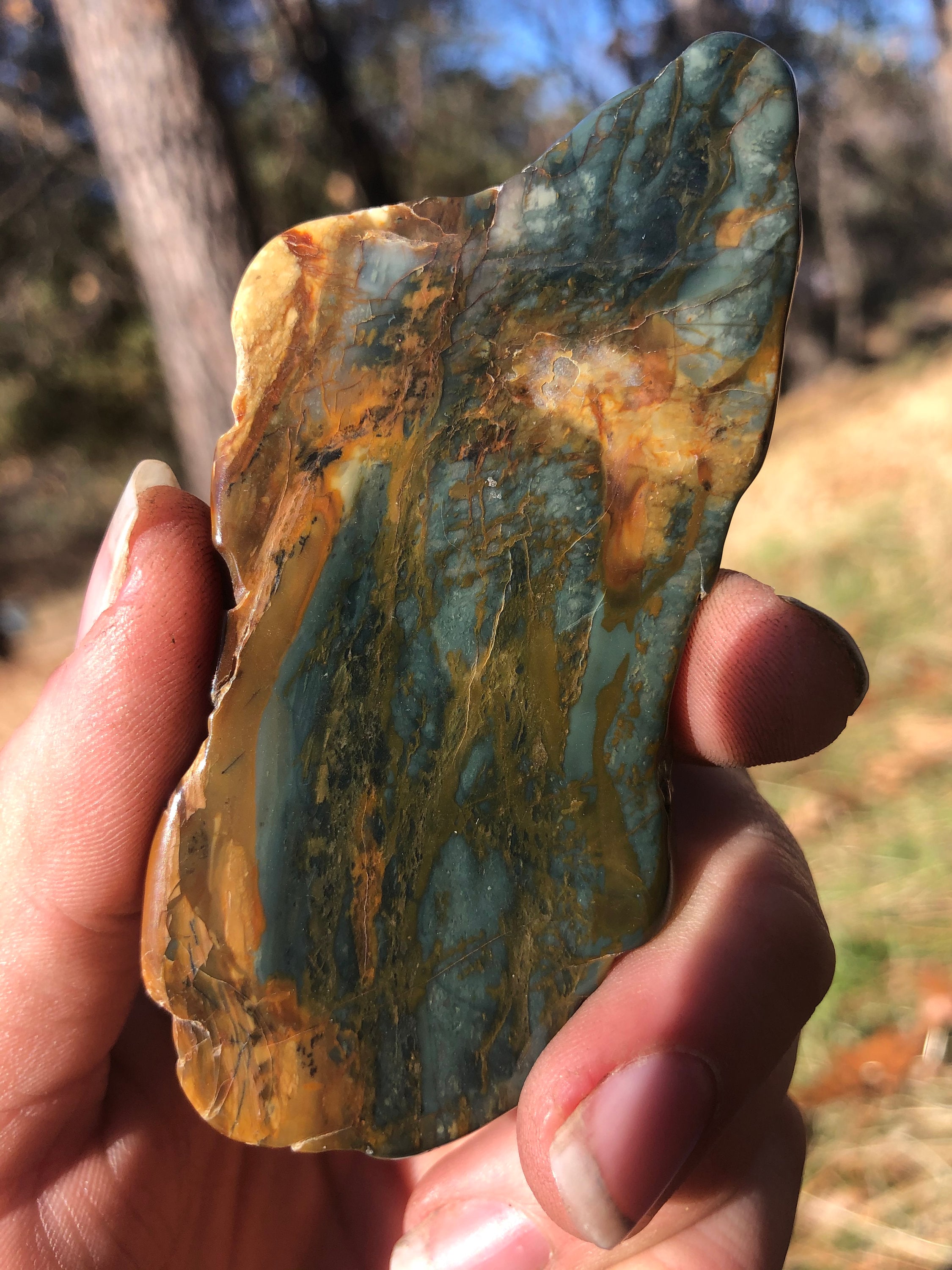 Morrisonite Picture Jasper Specimen Slab Polished Slice From - Etsy