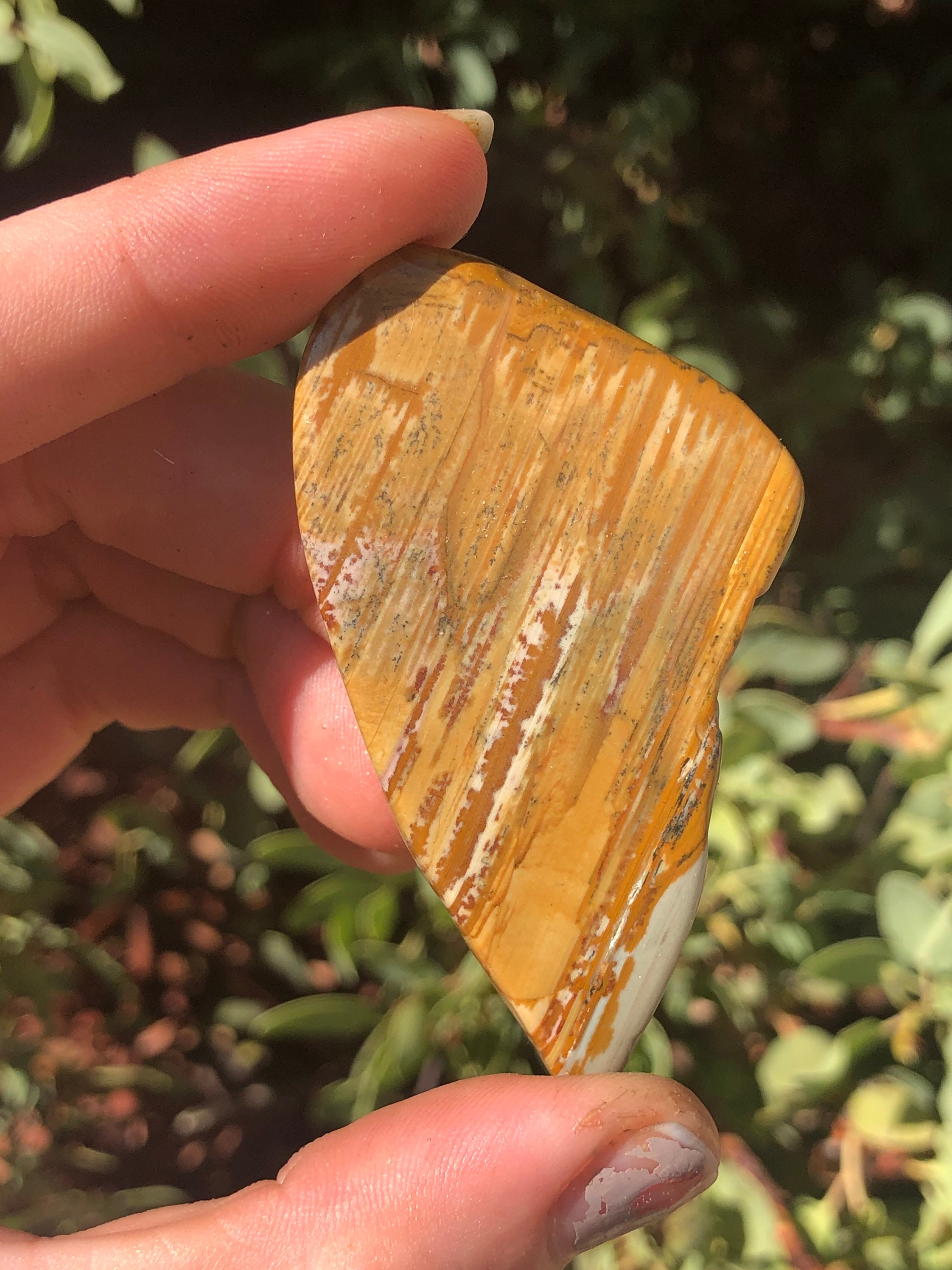 Home Décor Home & Living Rocks & Geodes Polished Picture Jasper Mineral ...