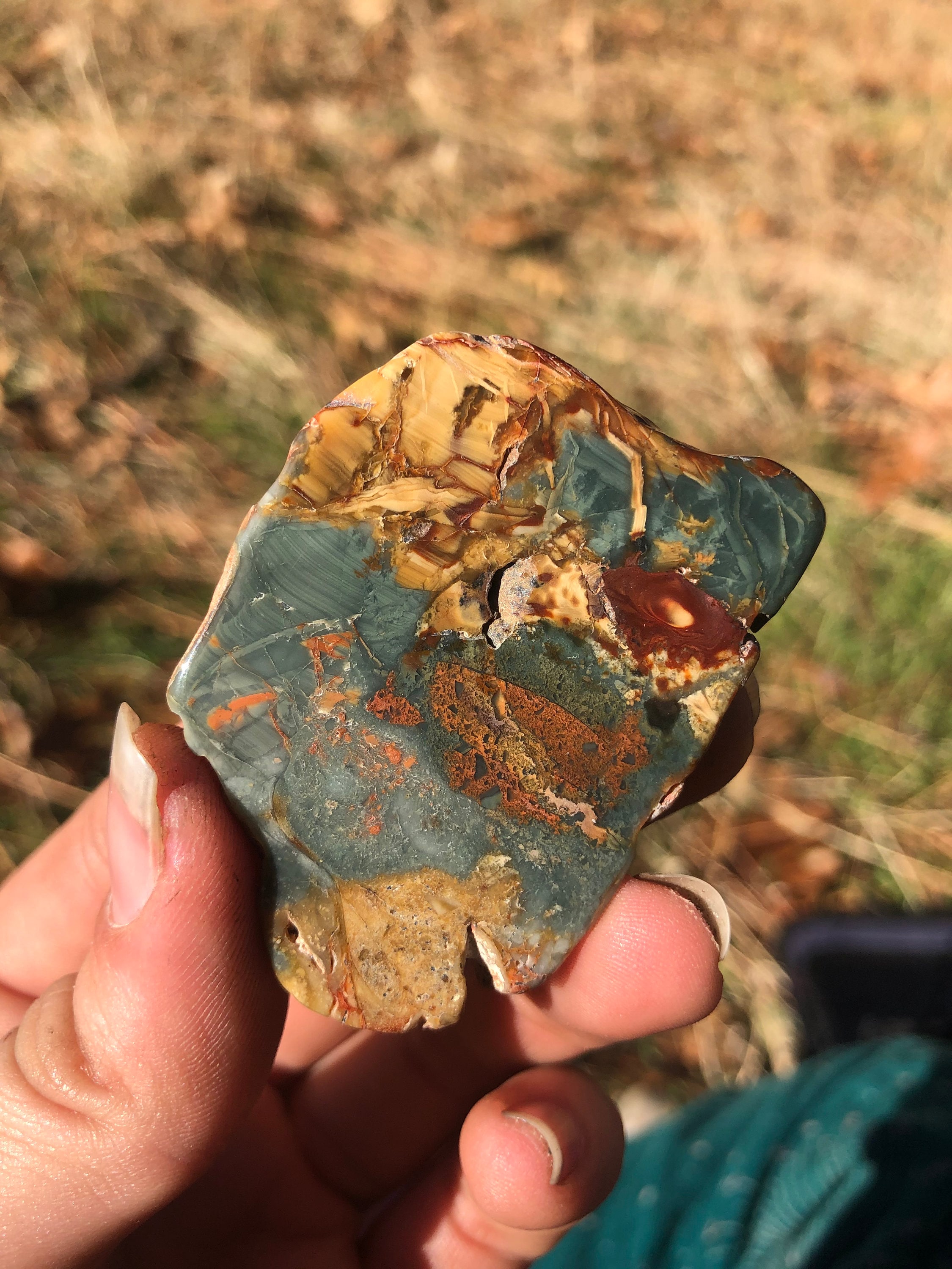 Morrisonite Polished Picture Jasper Slice - Etsy.de