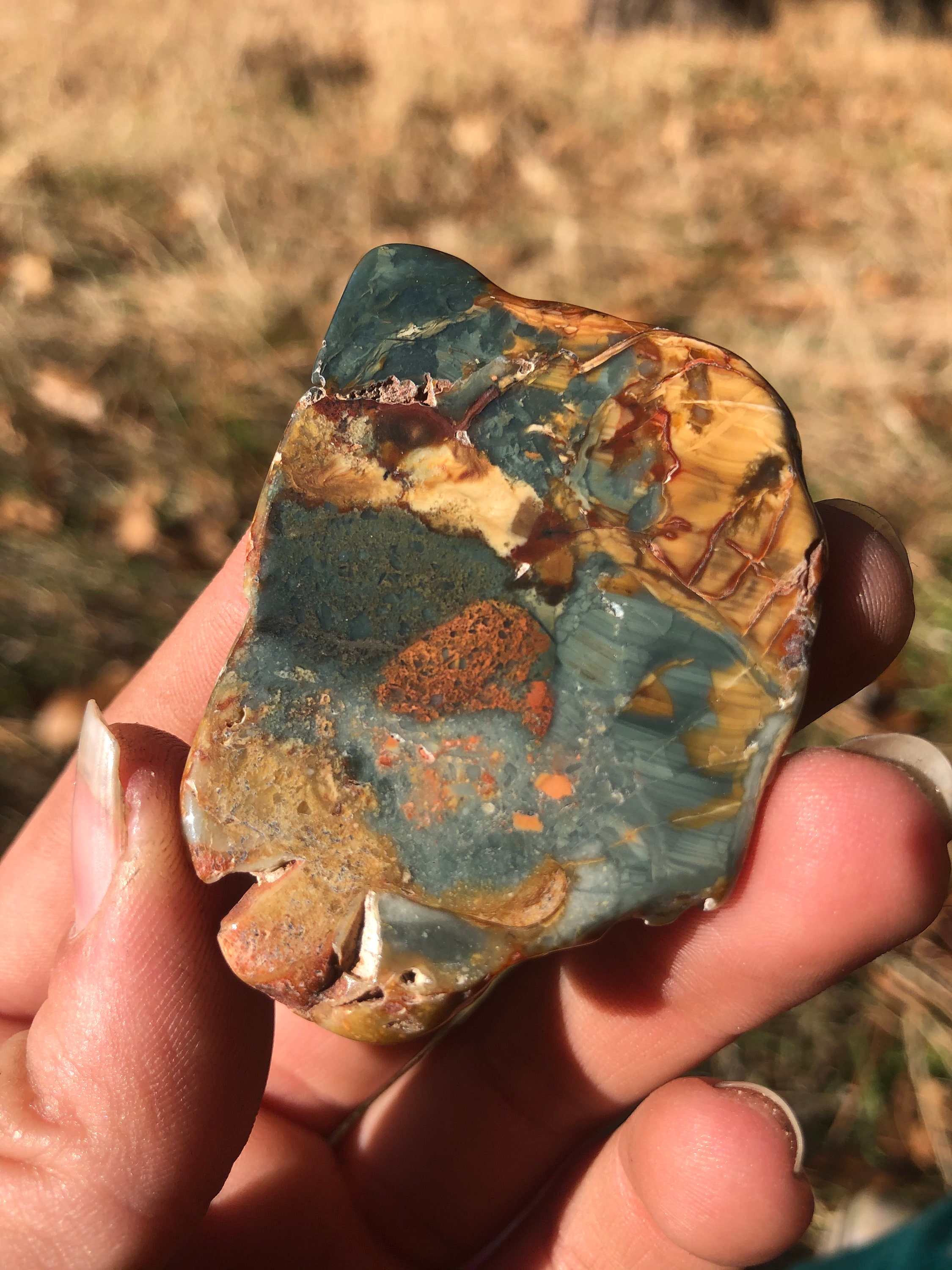 Morrisonite Polished Picture Jasper Slice - Etsy.de