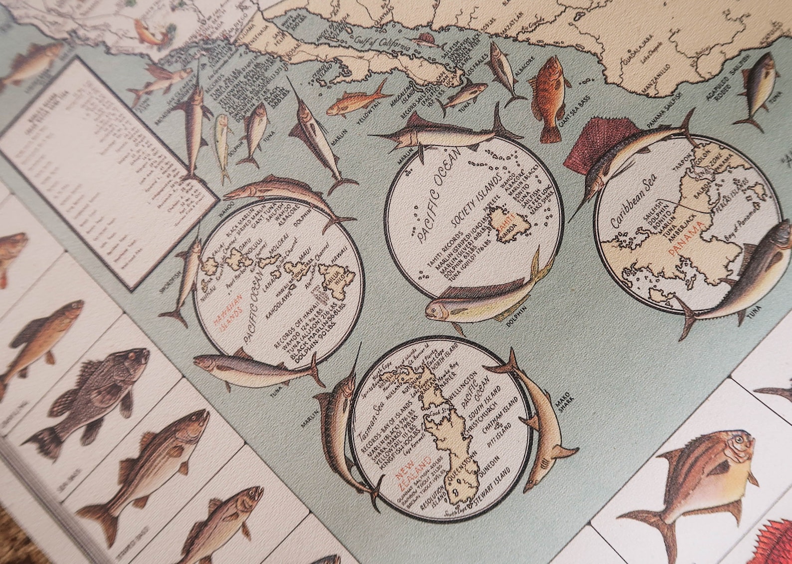 Big Game Fish Map of US Fisherman Gift or Lake House Decor - Etsy