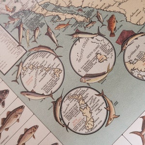 Big Game Fish Map of US, Fisherman Gift or Lake House Decor, Handcarved ...