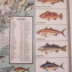 Big Game Fish Map of US, Fisherman Gift or Lake House Decor, Handcarved ...