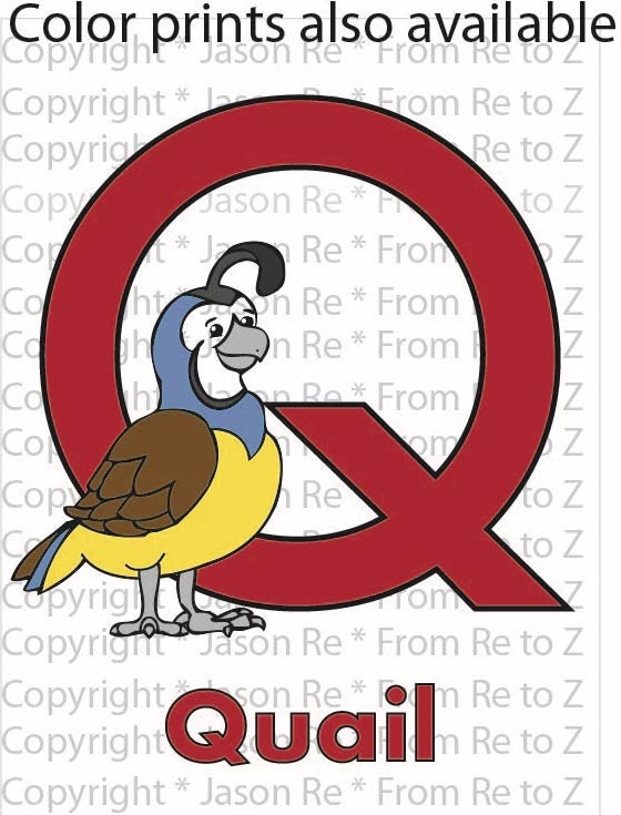 Q is for Quail | Abcs Coloring Page | Alphabet | Printable Digital ...