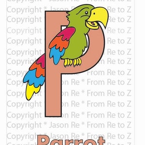 P is for Parrot | Abcs Coloring Page | Alphabet | Printable Digital ...