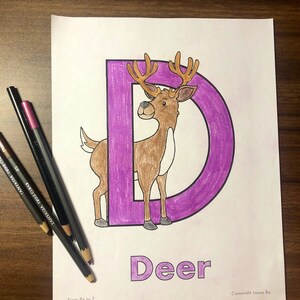 D is for Deer | Abcs Coloring Page | Alphabet | Printable Digital ...