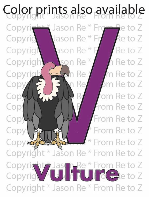 V is for Vulture | Abcs Coloring Page | Alphabet | Printable Digital ...