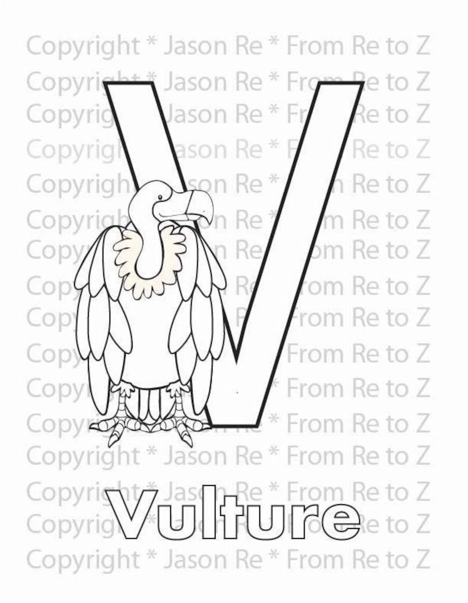 V is for Vulture | Abcs Coloring Page | Alphabet | Printable Digital ...