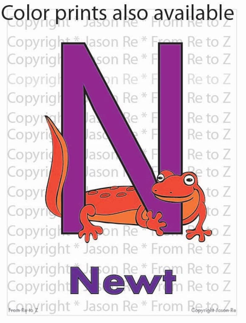 N is for Newt | Abcs Coloring Page | Alphabet | Printable Digital ...