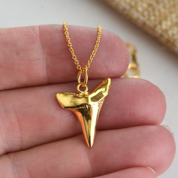 Shark Tooth Necklace - Etsy