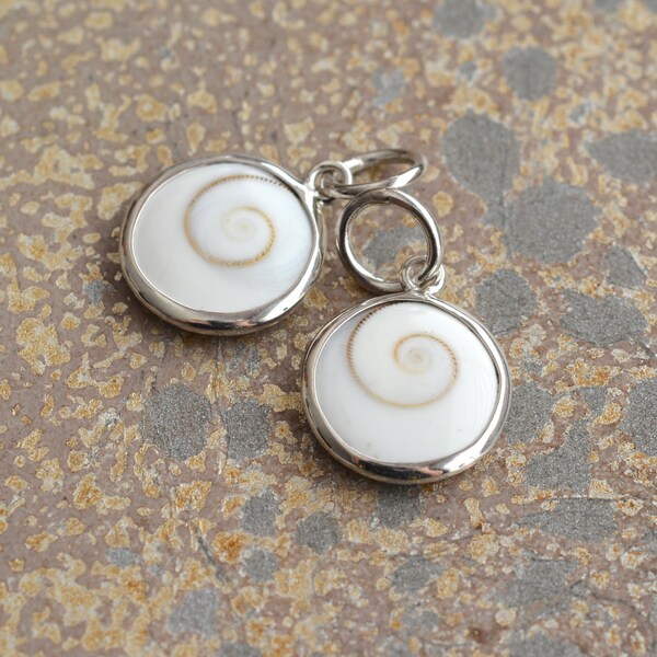 Operculum Shell - Etsy