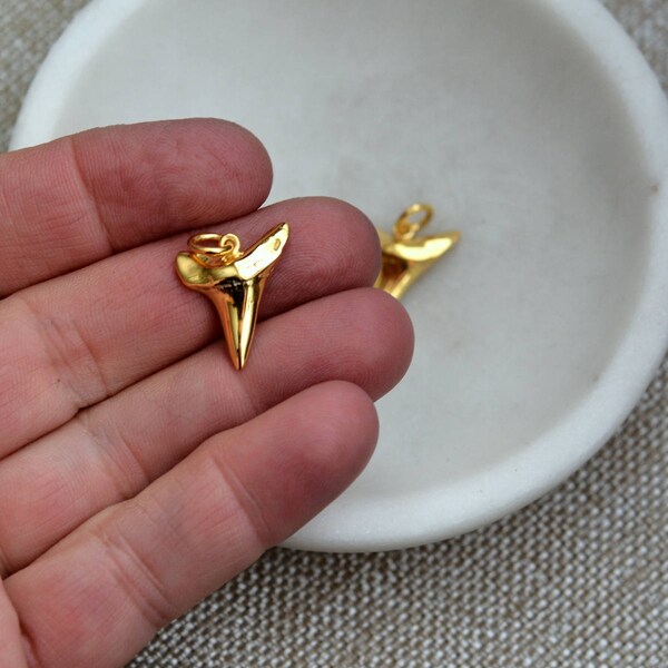 Shark Tooth Charm - Etsy