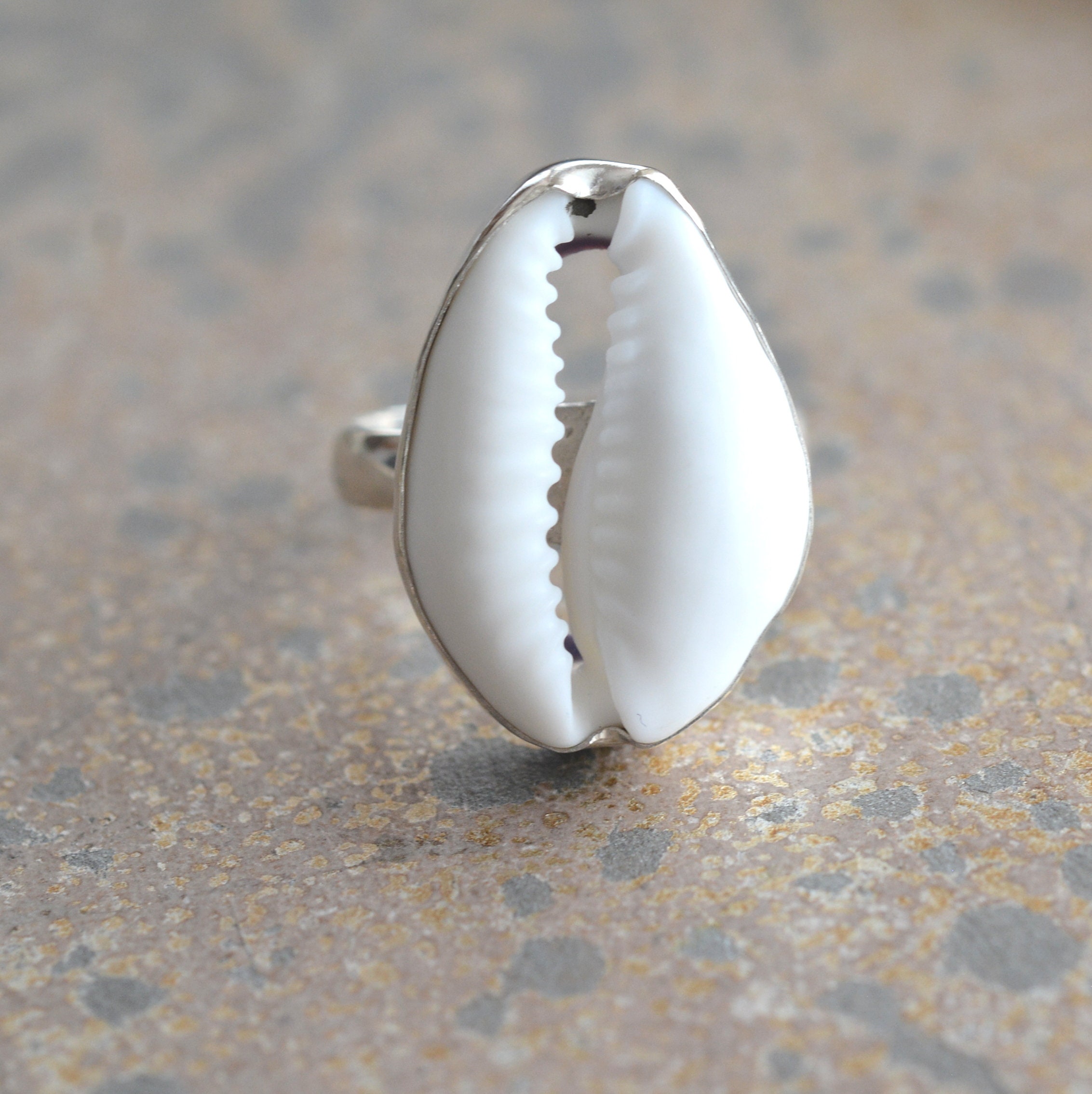 White Cowrie Shell Ring Cowry Shell Ring Beach Shell Ring | Etsy