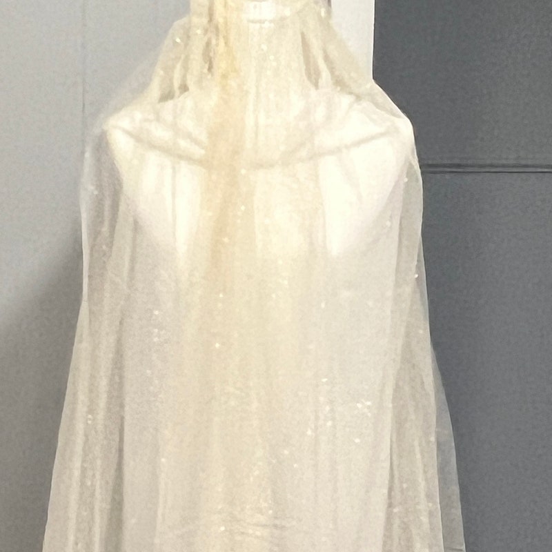 Champagne Veil - Etsy