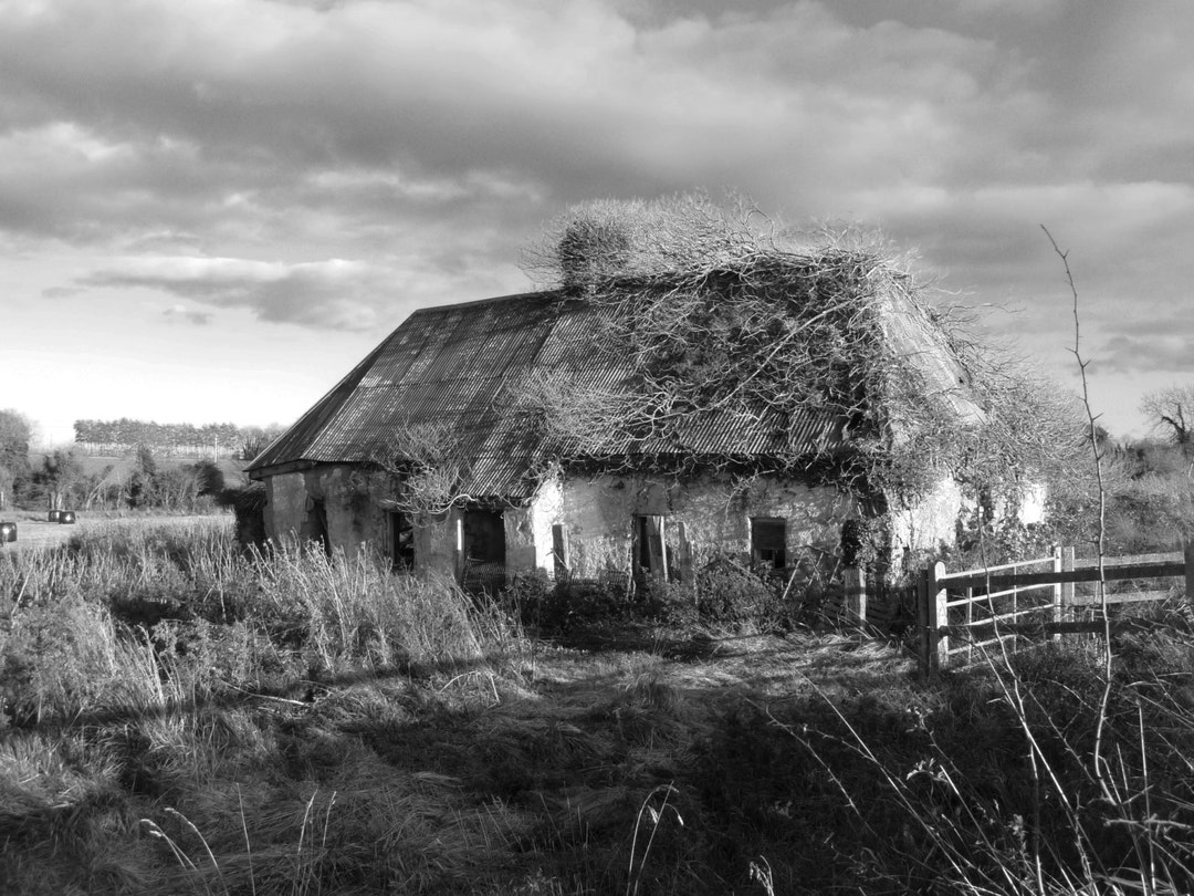 Kiltale, Meath, Ireland. Cottage in Ruins: 8" X 10" - Etsy