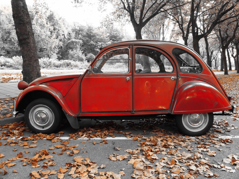 Amsterdam, Netherlands. Citroen 2CV Diane Autumn: 5" X 7" - Etsy