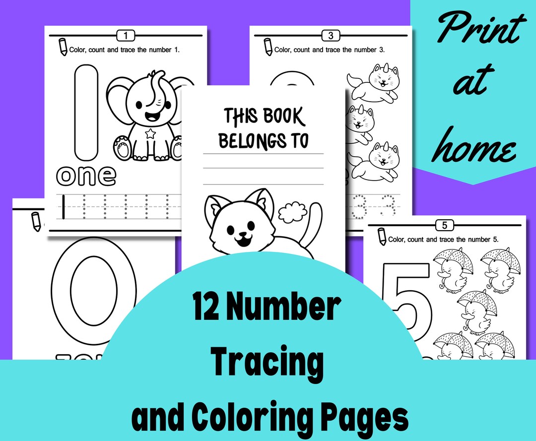 Printable Number Tracing, Counting, Identification Coloring Worksheets ...
