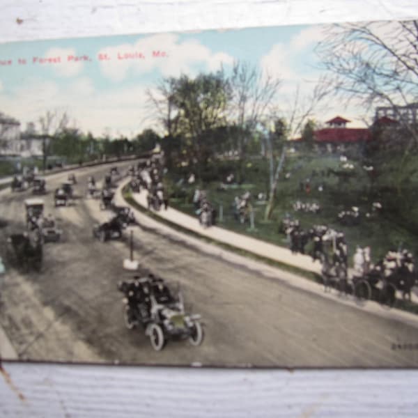 Forest Park St Louis - Etsy