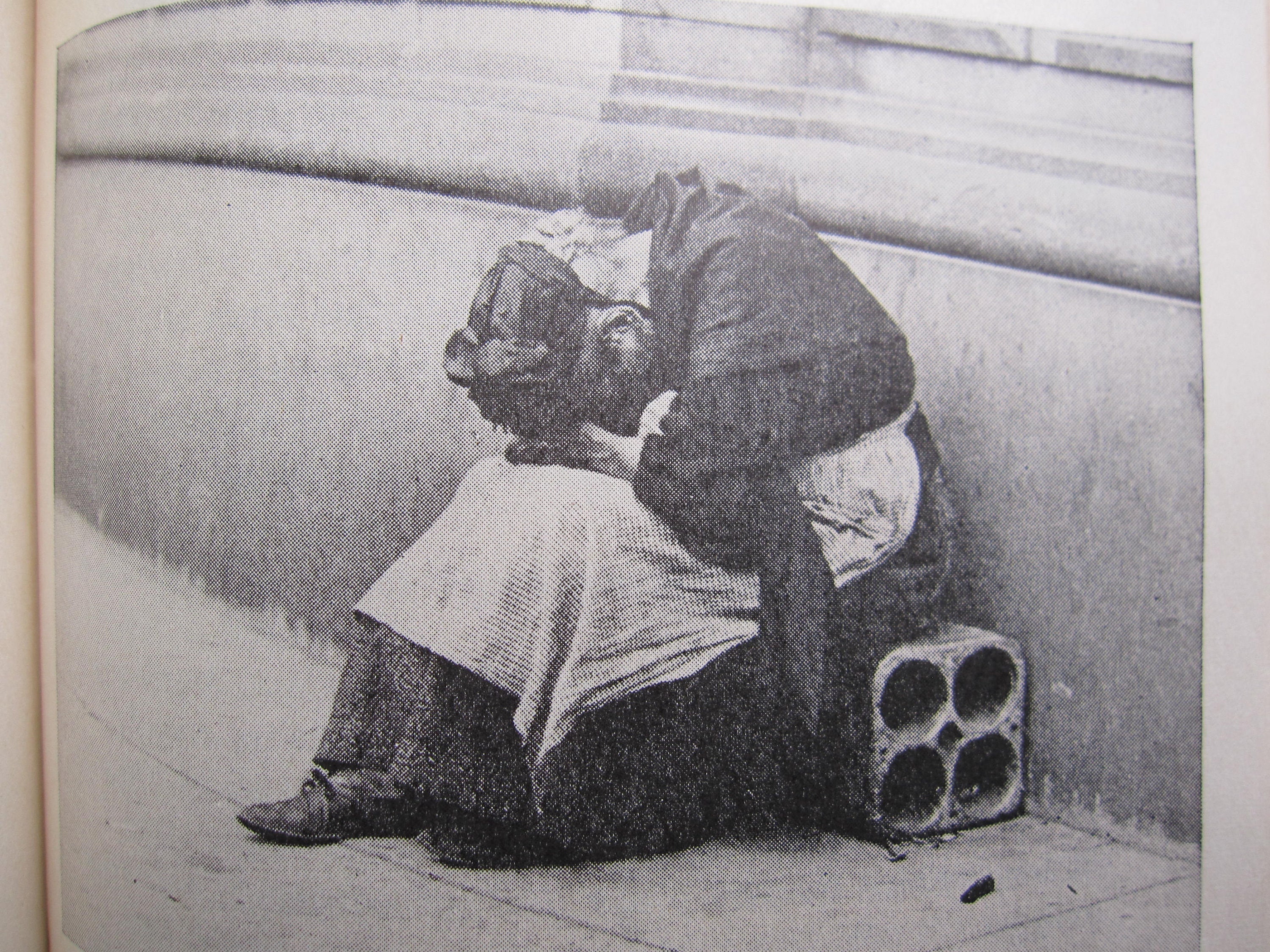 Poems of The Midwest By Carl Sandburg. Printed in 1946 | Etsy