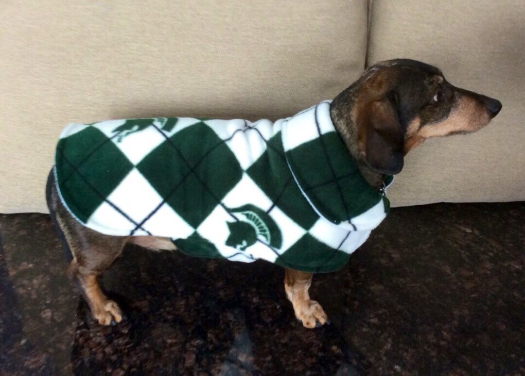 Michigan State Dog Coat - Etsy