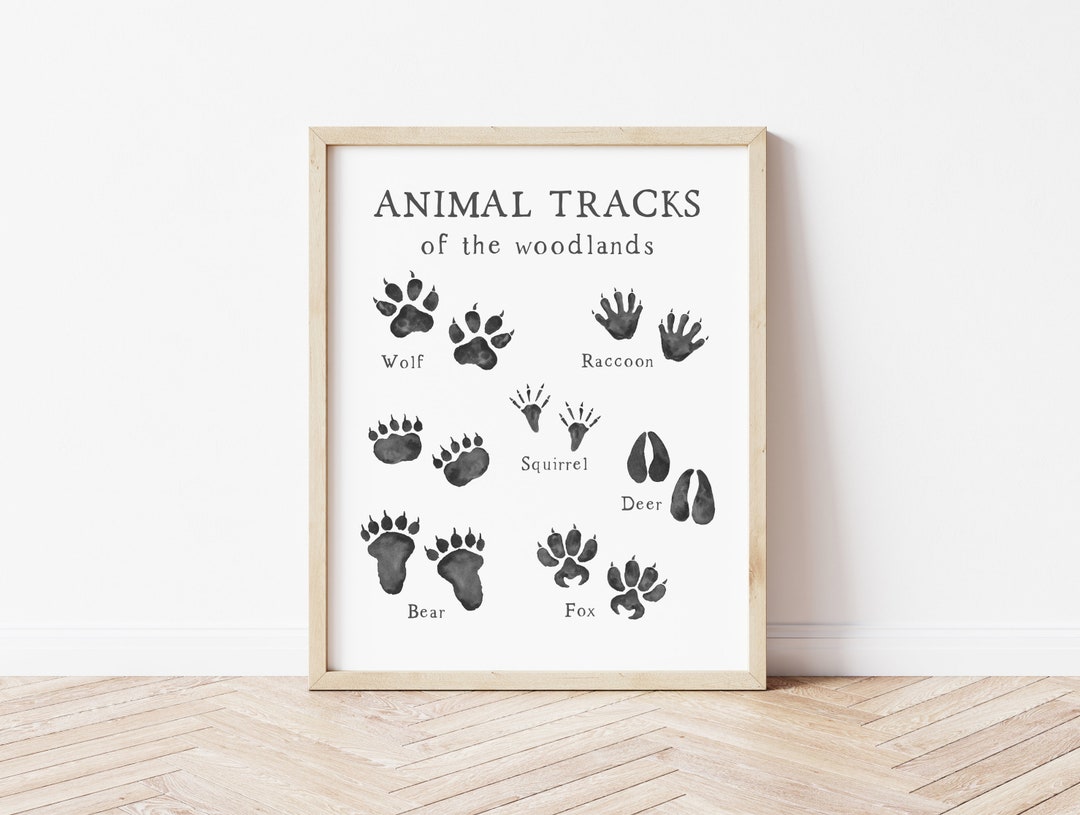 Animal Tracks Printable Woodland Forest Nursery Print - Etsy
